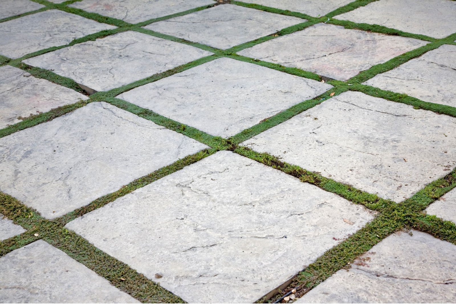 Ultimate Guide To Concrete Slab Foundations In NZ